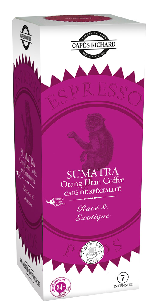 Café Richard - SUMATRA pods - French Coffee
